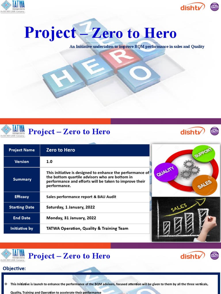 Project - Zero To Hero (1.0) | PDF | Audit | Business