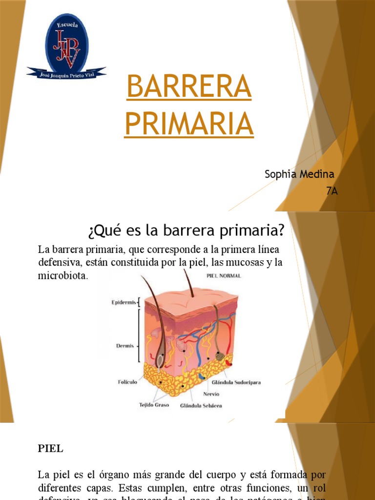 Barreras Primarias | PDF