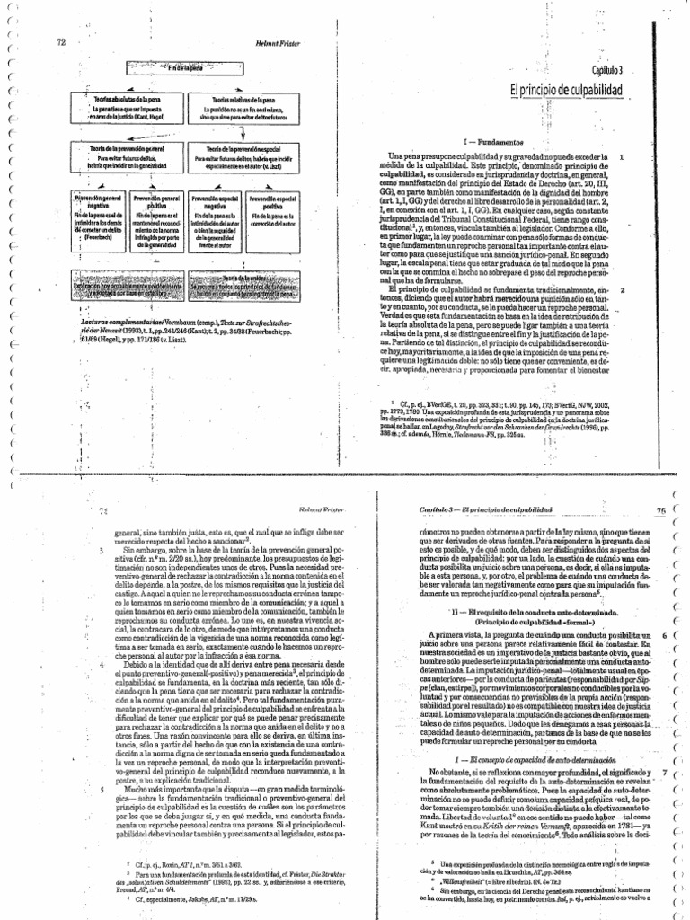 Frister, Helmut. Derecho Penal. Parte General - Capítulo 3. Principio ...