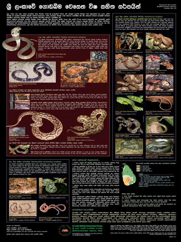 Venomous Land Snakes of Sri Lanka - Lowres PDF | PDF