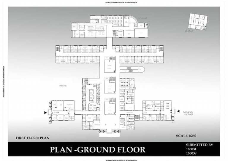 Plan Hospital PDF | PDF
