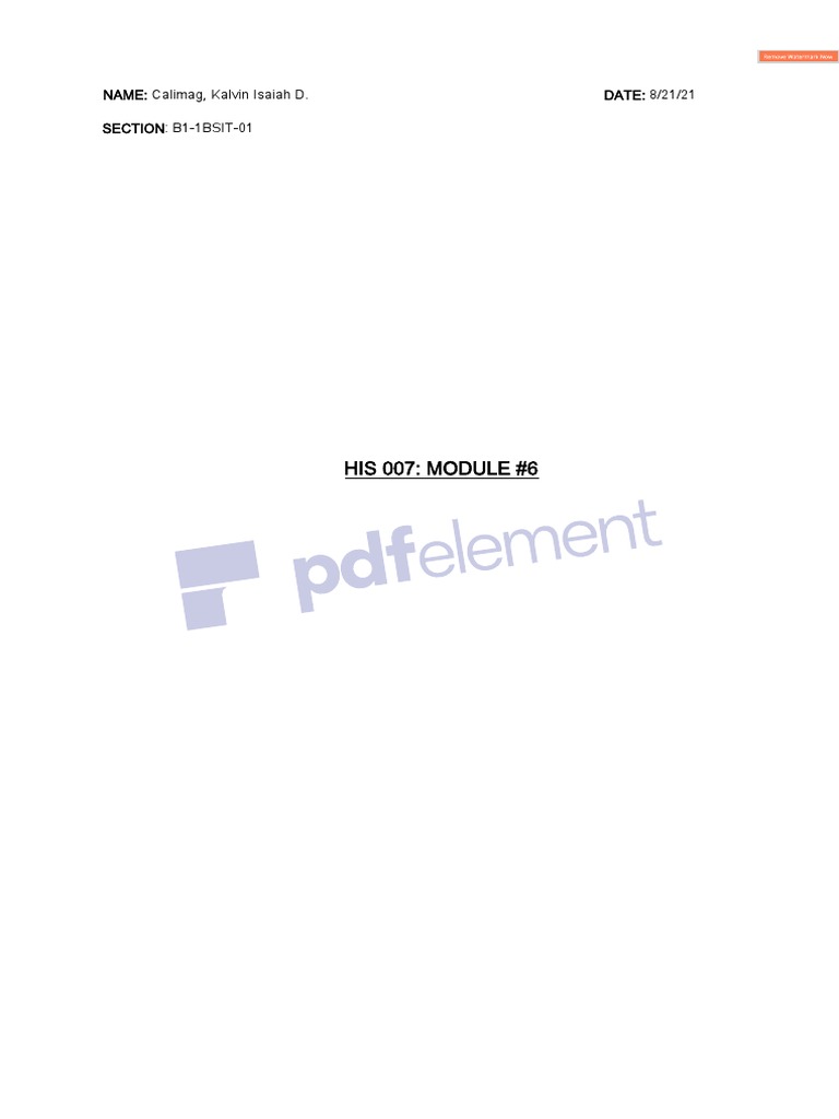 HIS 007 - Module 6 | PDF