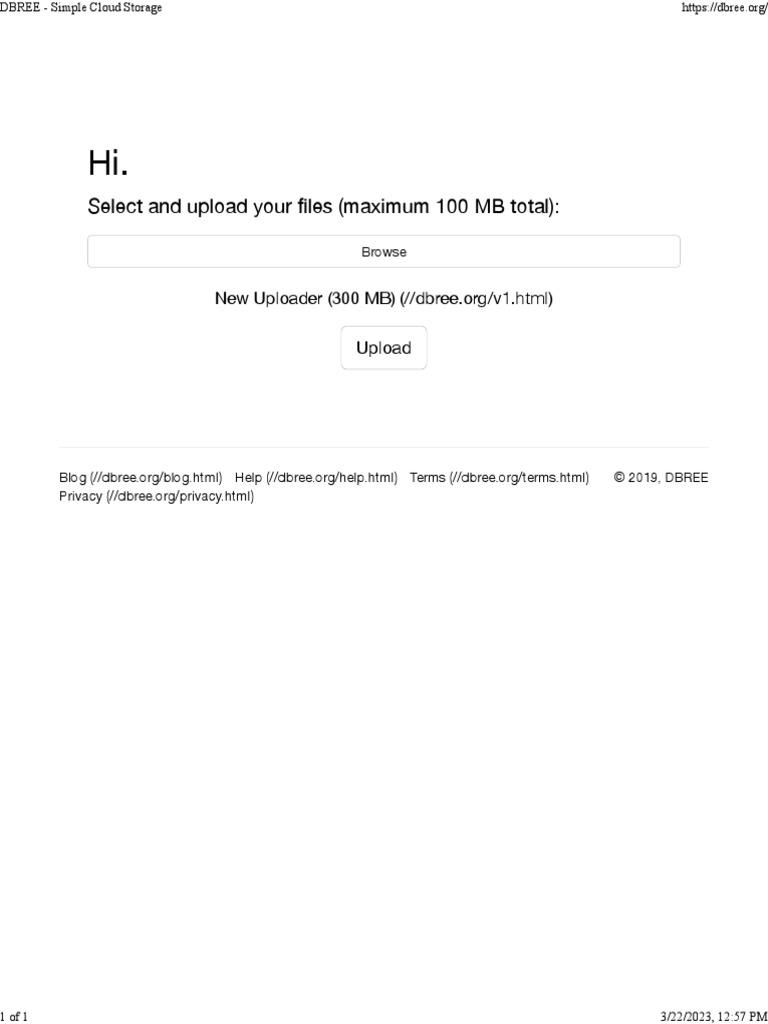 DBREE - Simple Cloud Storage.pdf | PDF