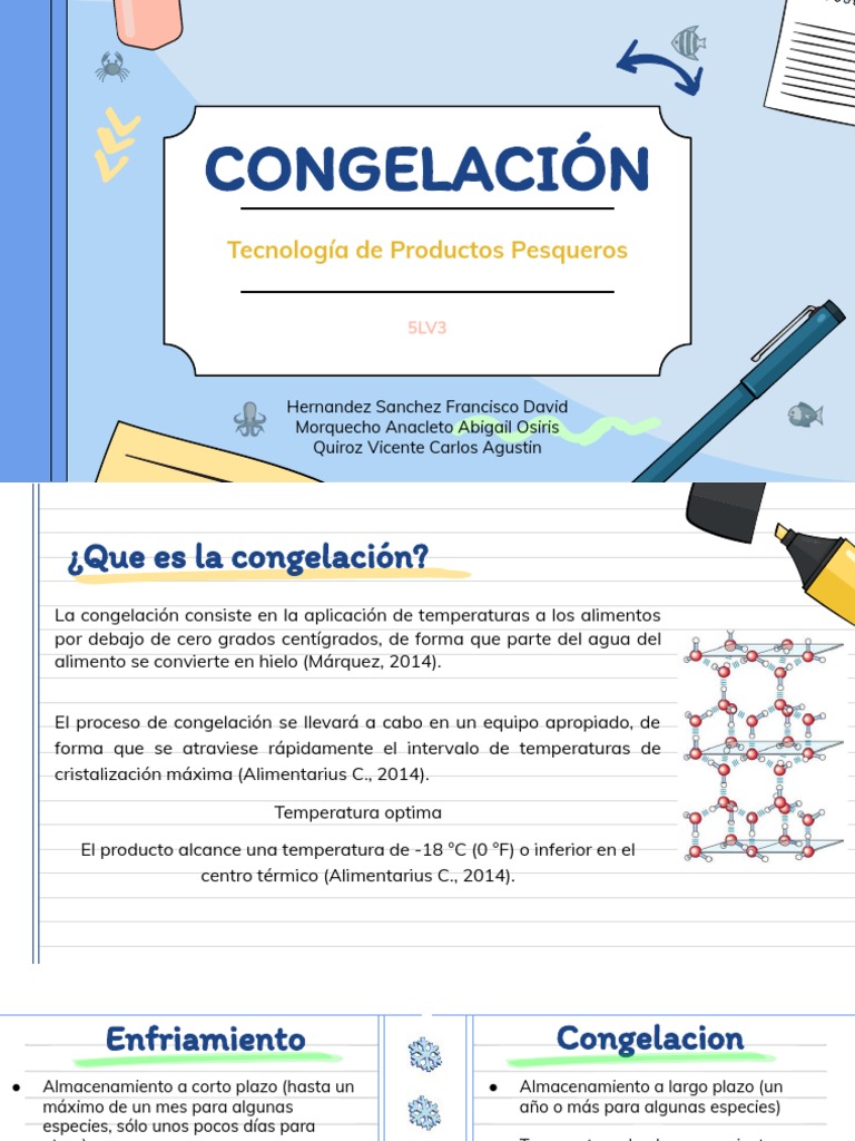 Proceso y Tipos de Congelación | PDF | Agua | Comida y bebida