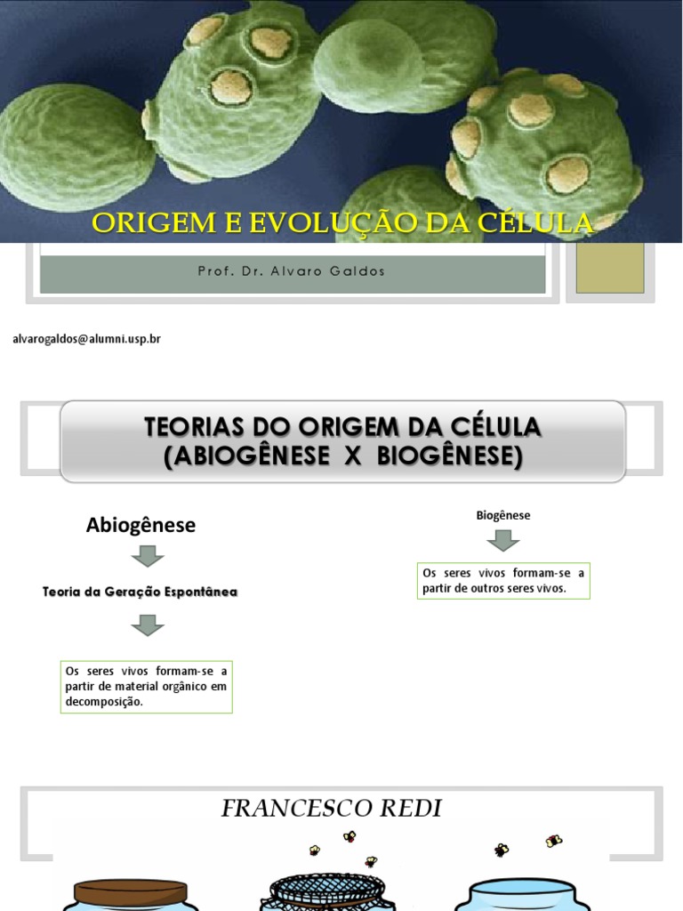 Aula 2 Evolução Da Célula Pdf Pdf Célula Biologia Citoplasma