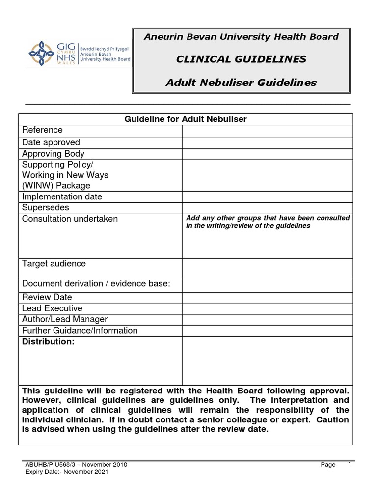 Nebuliser Care Of Your Nebuliser Pdf Chronic Obstructive
