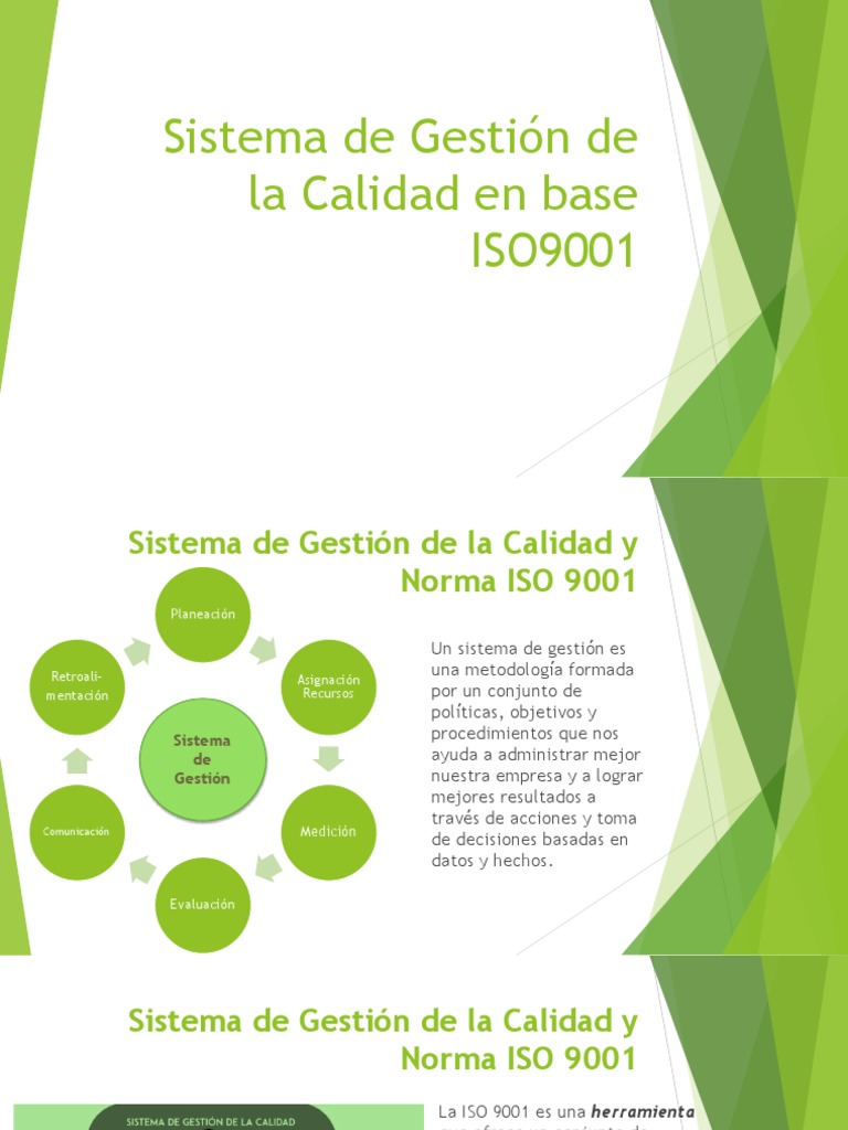 Sistema de Gestión de Calidad en Baso ISO 9001:15 | PDF | Calidad ...