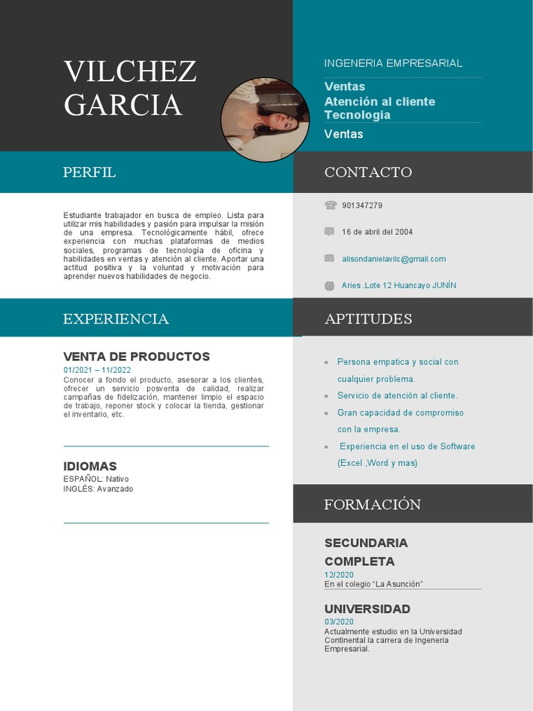CV Ale | PDF | Informática | Business