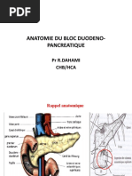 Anatomie de la Paroi Abdominale et de l'Aine | PDF | Péritoine | Abdomen