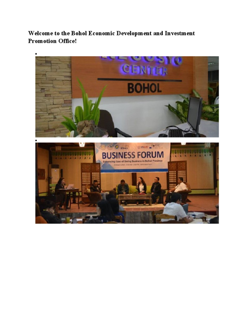 Bohol Bedipo | PDF | Small And Medium Sized Enterprises | Economic ...