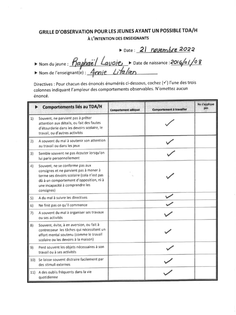 Grille D'observation p1 Et 3 | PDF