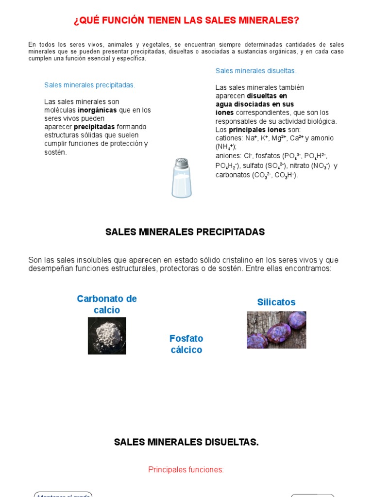 Qué Función Tienen Las Sales Minerales | PDF | Sal (química) | Solución ...