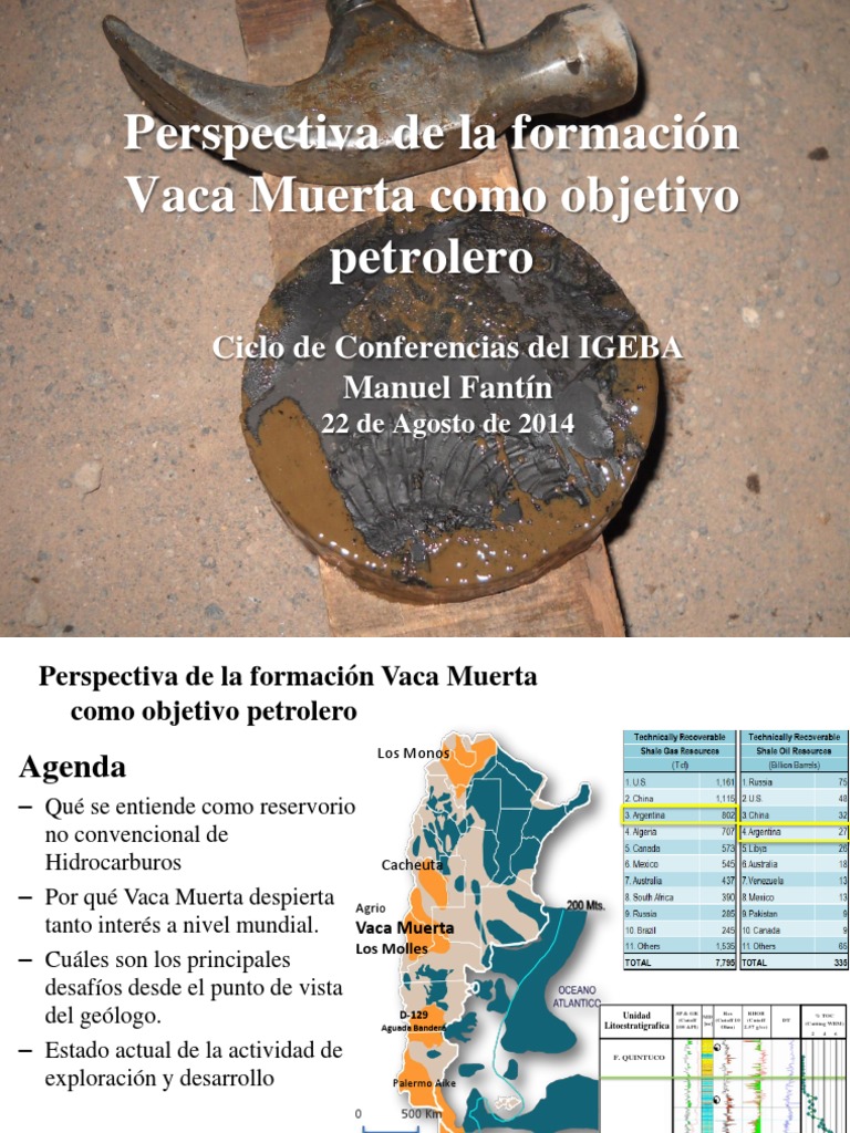 Perspectiva de La Formación Vaca Muerta Como Objetivo Petrolero | PDF ...