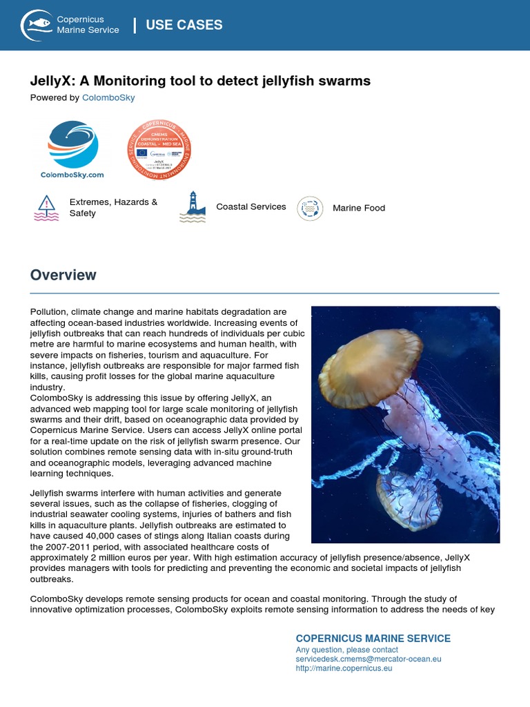 JellyX Monitoring Tool Detects Jellyfish Swarms | PDF | Oceans | Sea