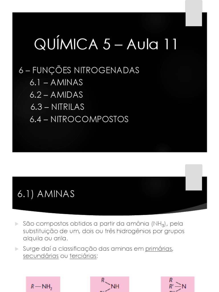 Funções Nitrogenadas Aminas Amidas Nitrilas E Nitrocompostos Pdf Amina Amida 