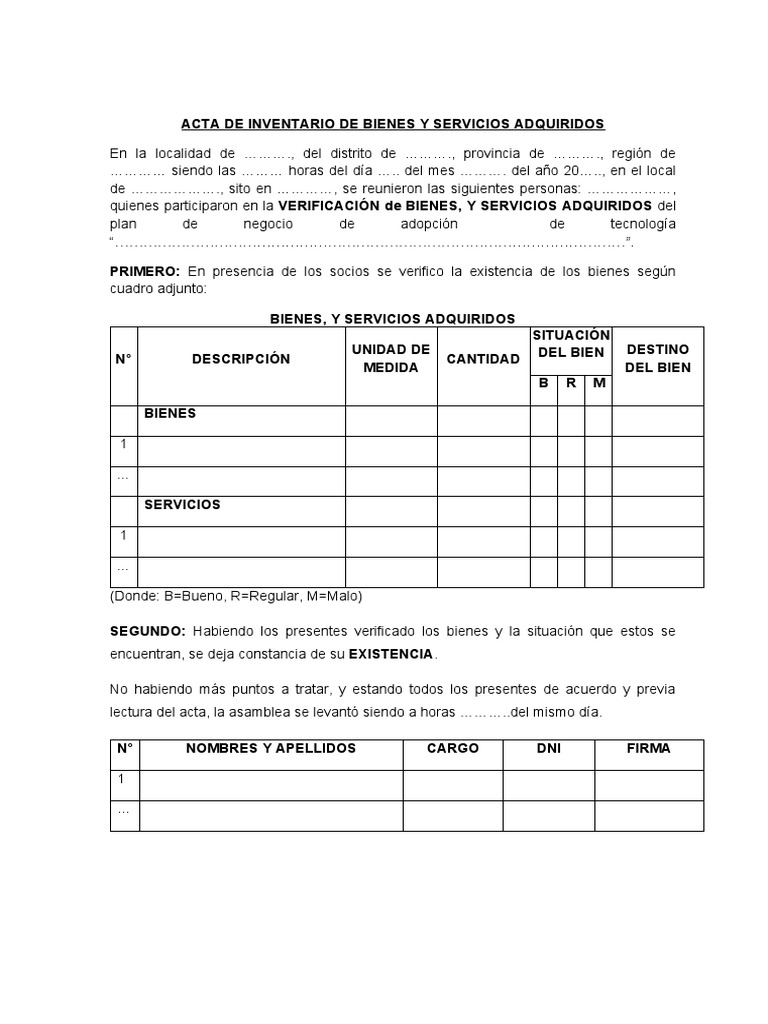 Acta de Inventario de Bienes y Servicios Adquiridos | PDF