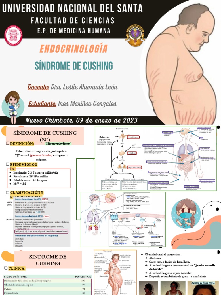 Síndrome de Cushing | PDF | Glucocorticoides | Enfermedades y trastornos