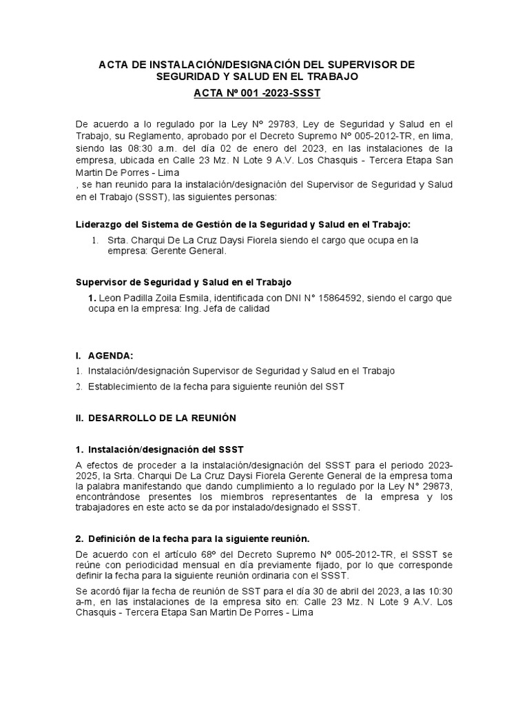 Modelo de Acta de Supervisor - Comite SST | PDF | Toma de decisiones por consenso | Votación
