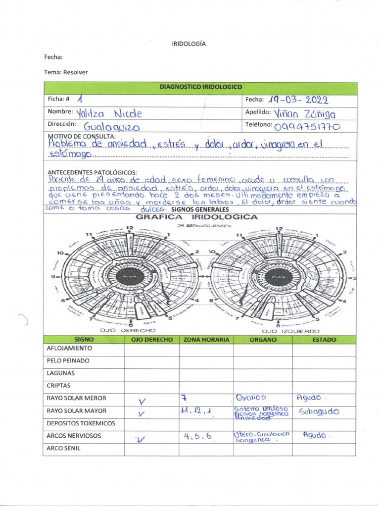 Diagnostico de Iridologia | PDF