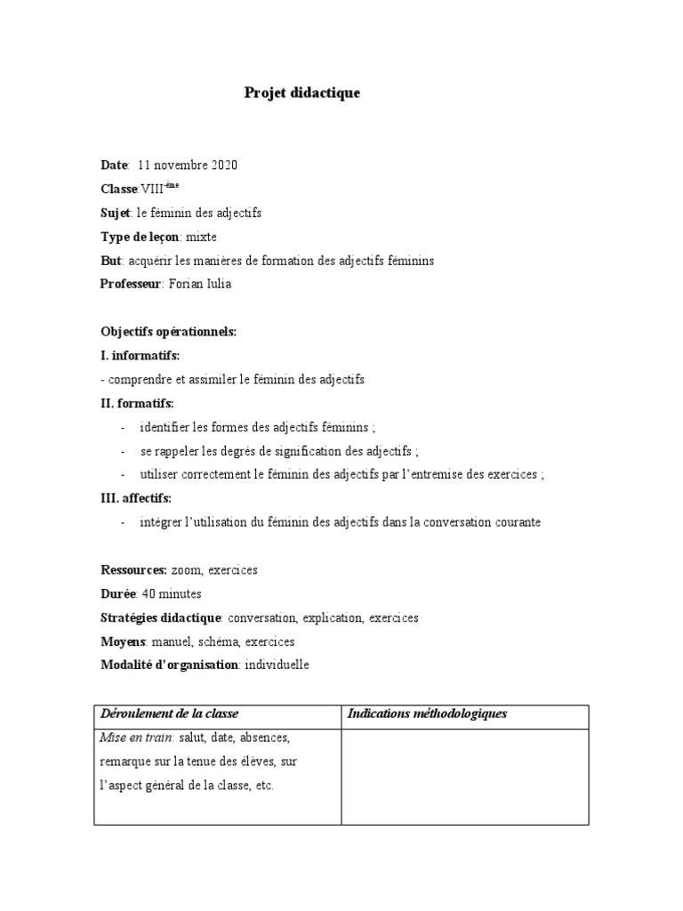 Le Feminin Des Adjectifs | PDF