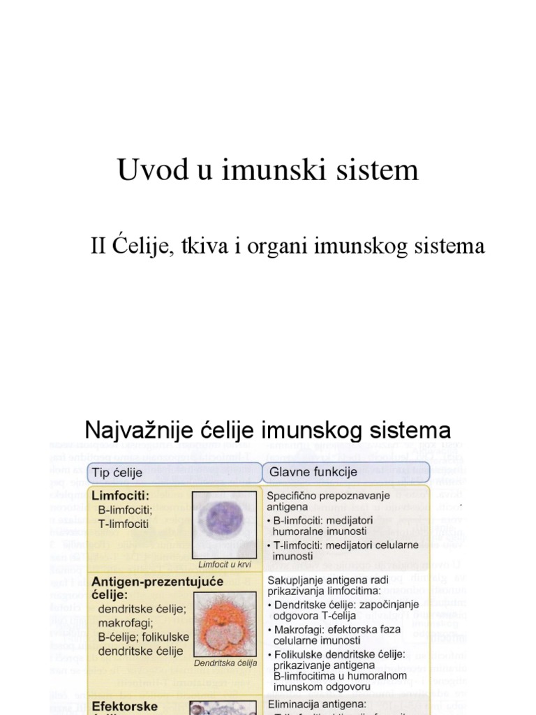 Ćelije, Tkiva I Organi Imunskog Sistema | PDF