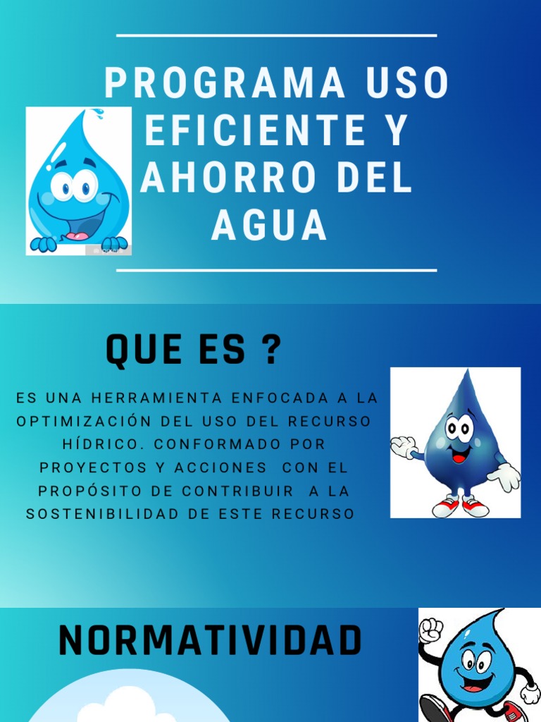 Programa Uso Eficiente y Ahorro Del Agua | PDF