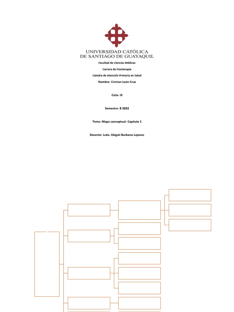 Aps-Mapa Conceptual | PDF | Cuidado de la salud