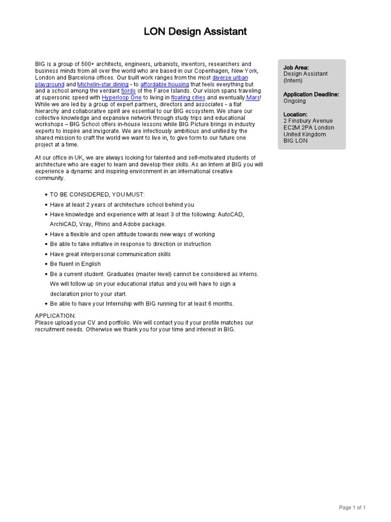 BIG - LON Design Assistant | PDF | Internship | Job Hunting