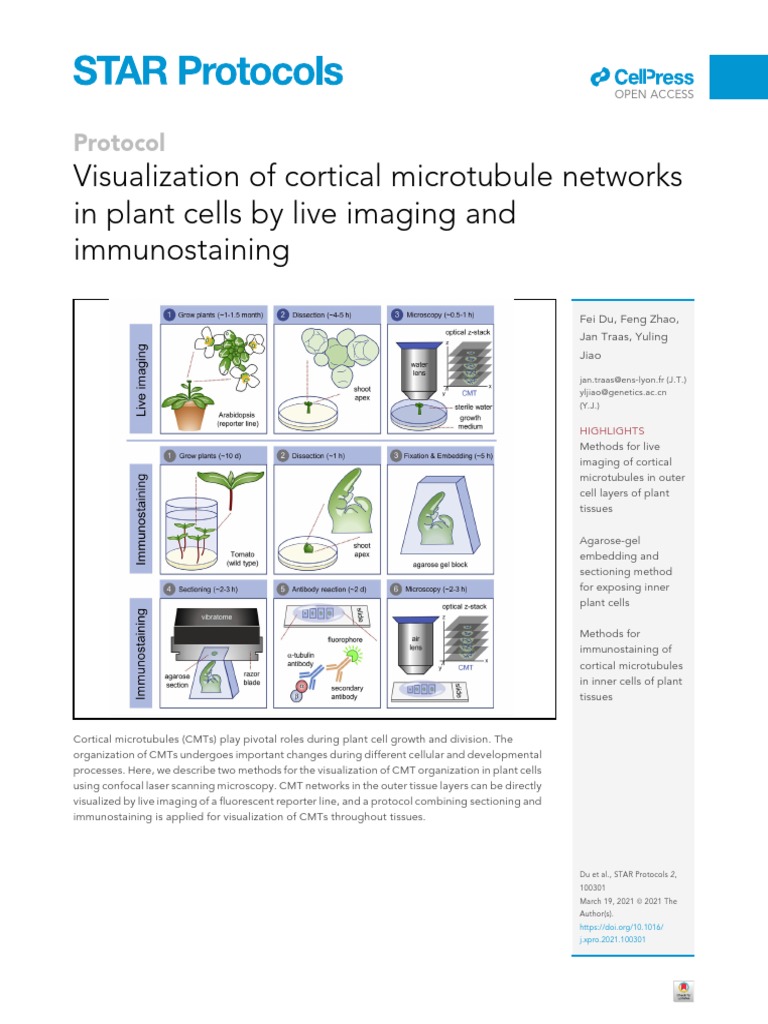 Star Protocols PDF | PDF | Confocal Microscopy