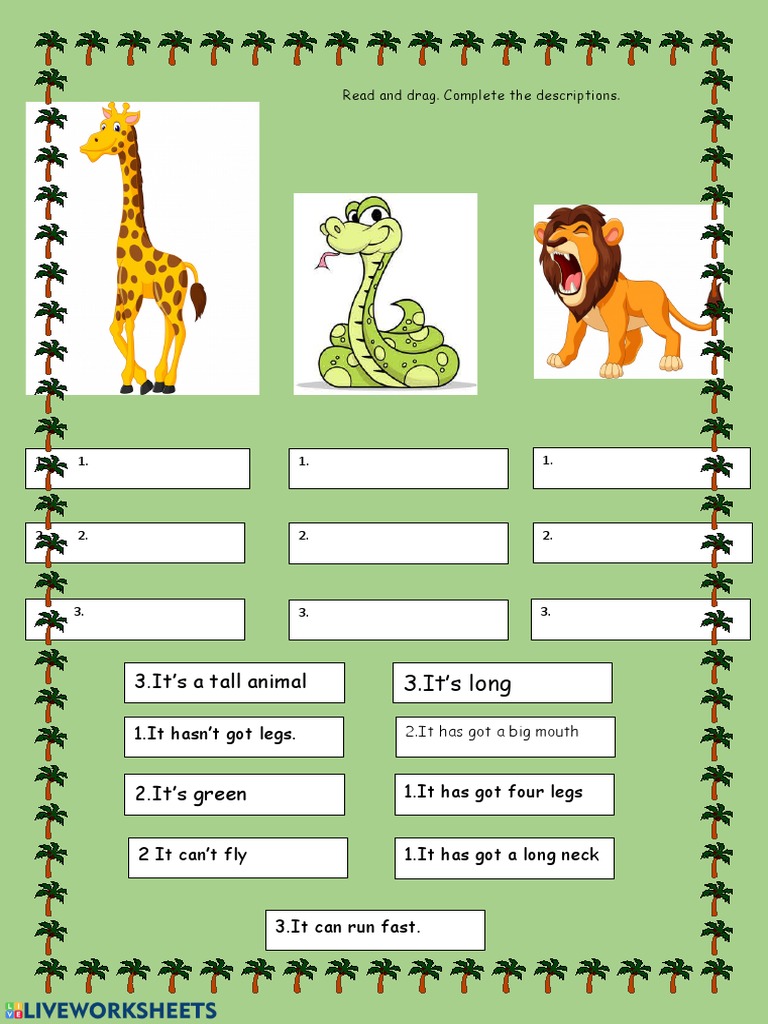 Animal Characteristics for Kids | PDF