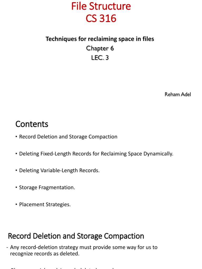 Lec3 PDF | PDF | Information Technology Management | Computer Science