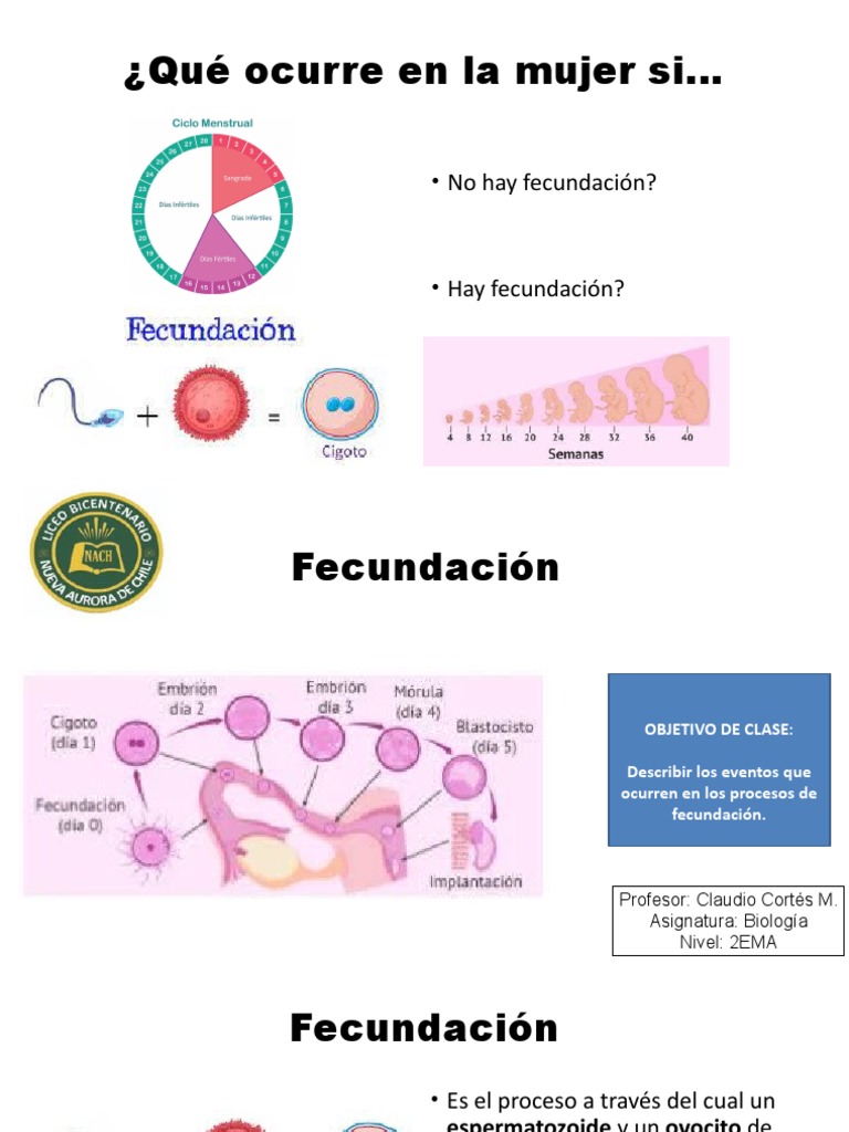 Fecundacion | PDF | Sexo | Semen