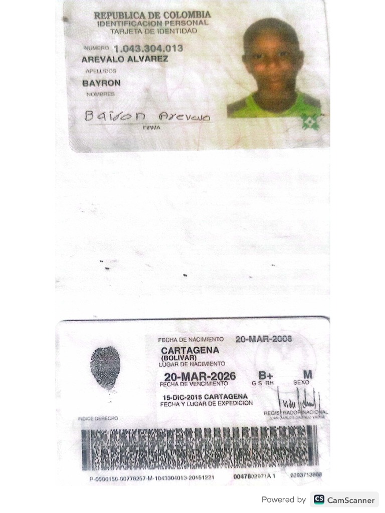 2.bayron Arebalo | PDF