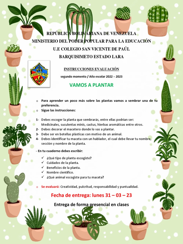 Instrucciones Vamos A Plantar 1er Grado | PDF