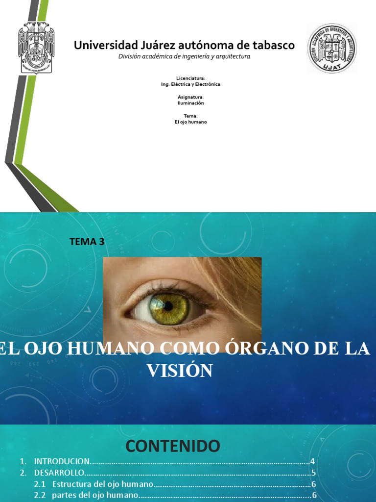 Anatomía y Función del Ojo Humano | PDF | Ojo humano | Ojo