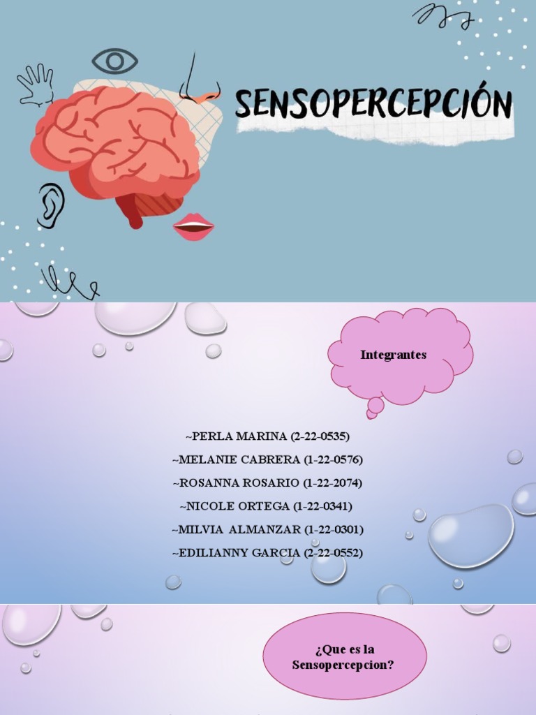 Expo La Sensopercepcion | PDF | Percepción | Cerebro