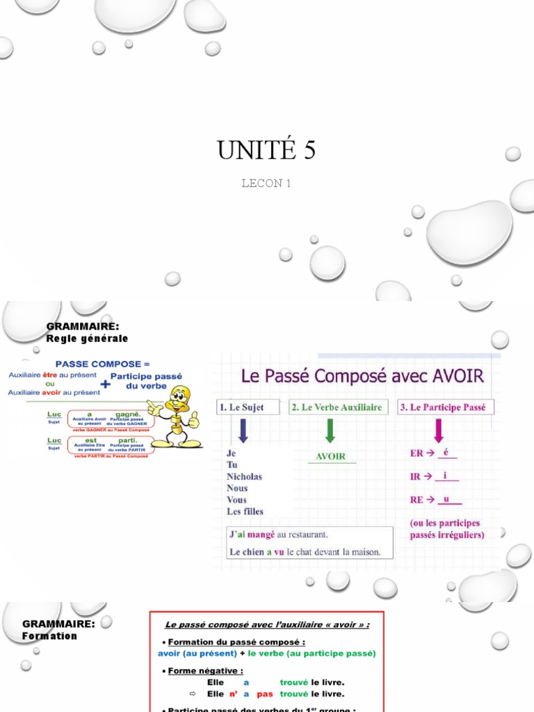 Emploi du passé composé avec avoir | PDF | Évolution de carrière