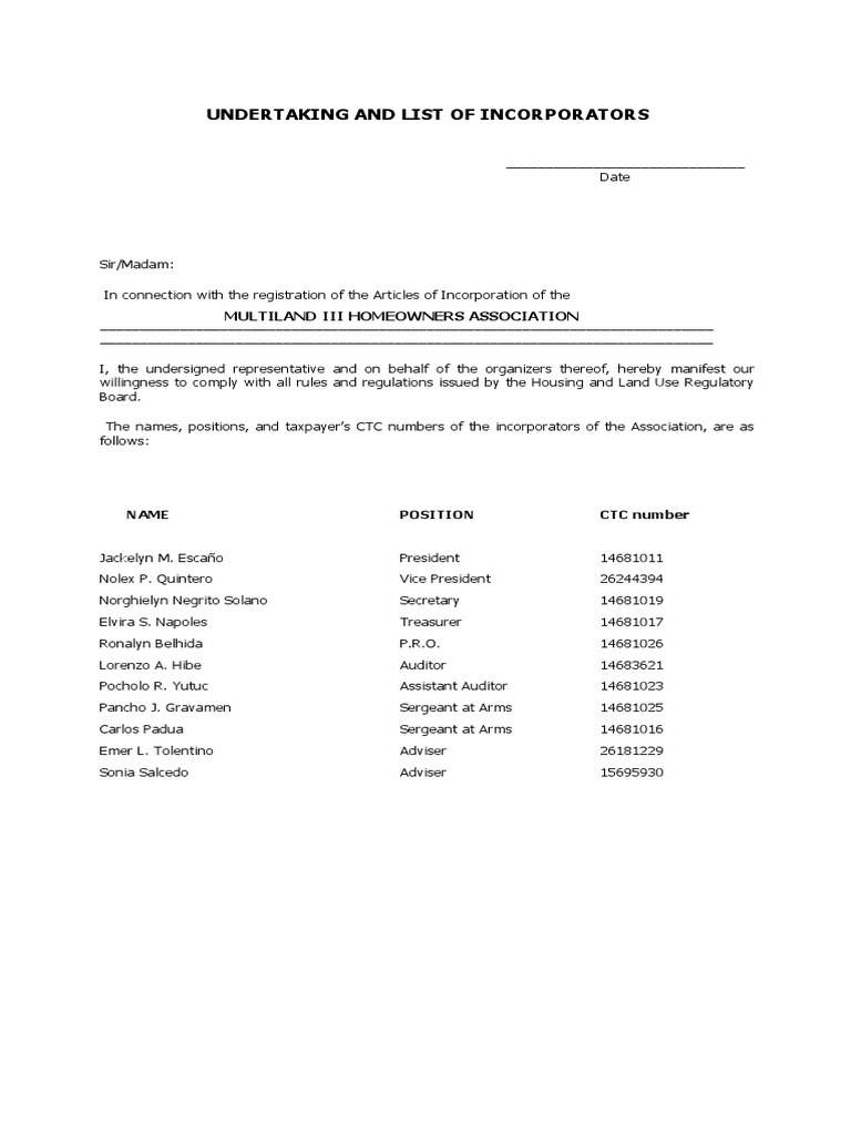 Undertaking | PDF | Government