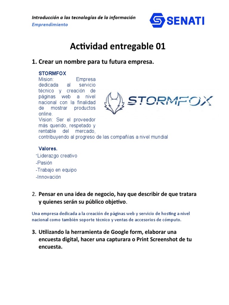 Creación de Empresa: STORMFOX y Webs | PDF | Negocios