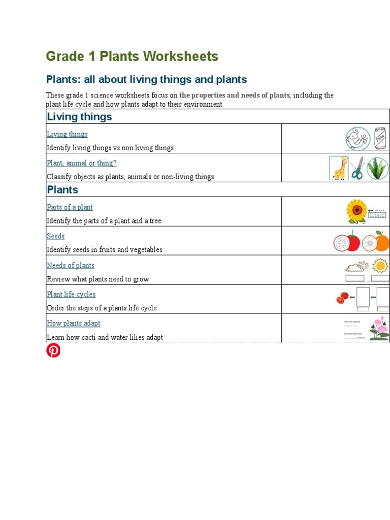 Grade 1 Plants Science Worksheets | PDF | Science & Mathematics