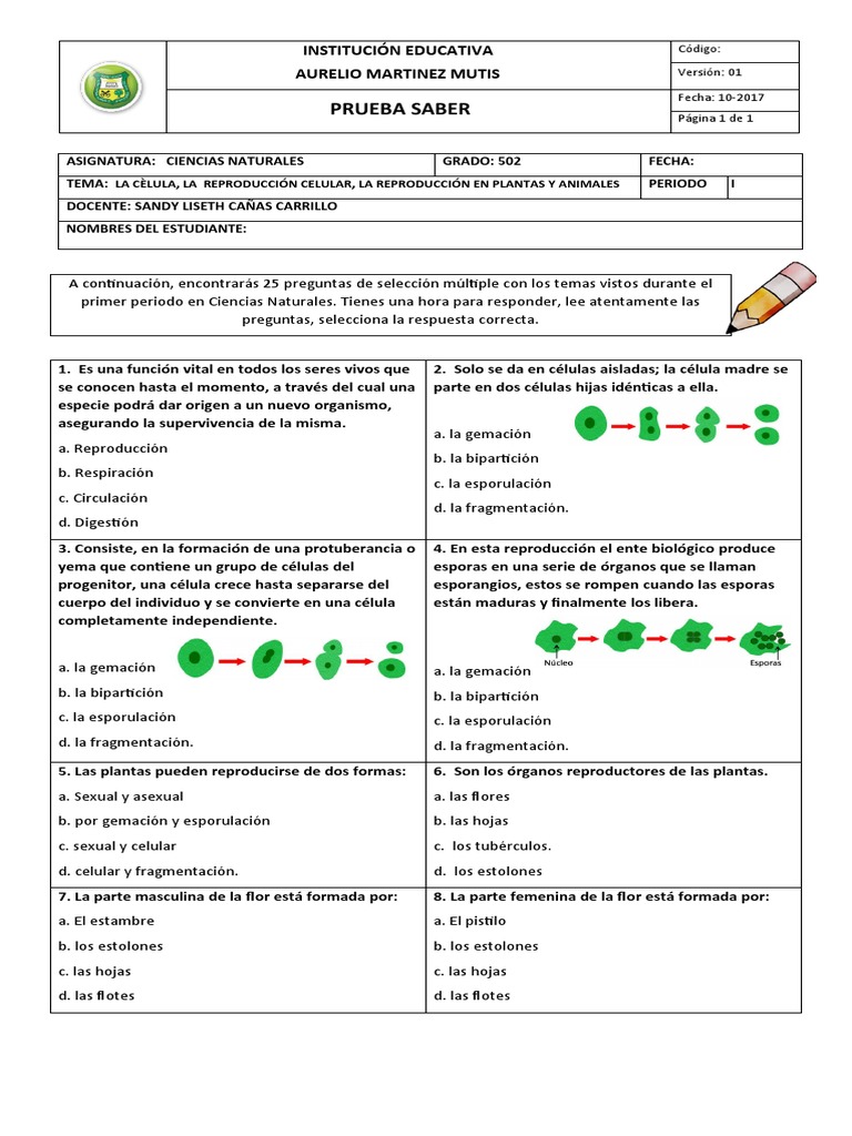 Prueba Saber Ciencias Naturales 502 PRIMER PERIODO | PDF | Reproducción | Flores