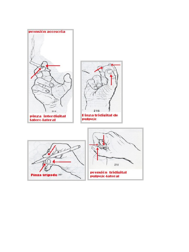 Análisis pinzas de la mano | PDF