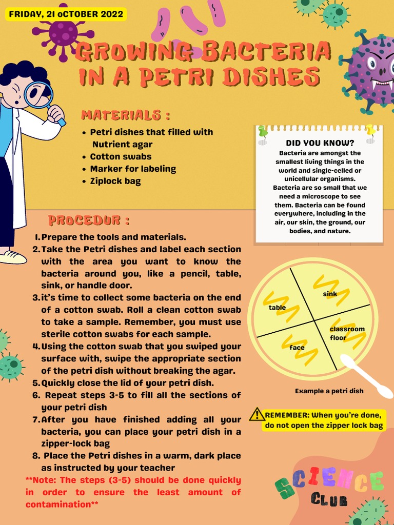 How to Grow Bacteria in Petri Dishes | PDF | Bacteria | Microbiology
