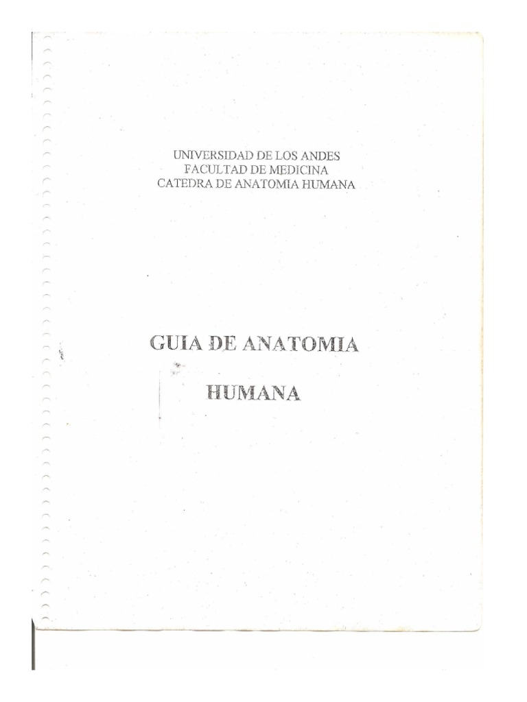 Anatomia Guia Completa PDF | PDF