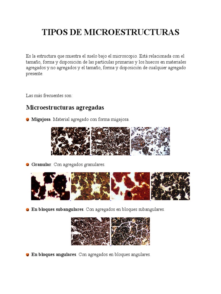 Tipos de Microestructuras | PDF