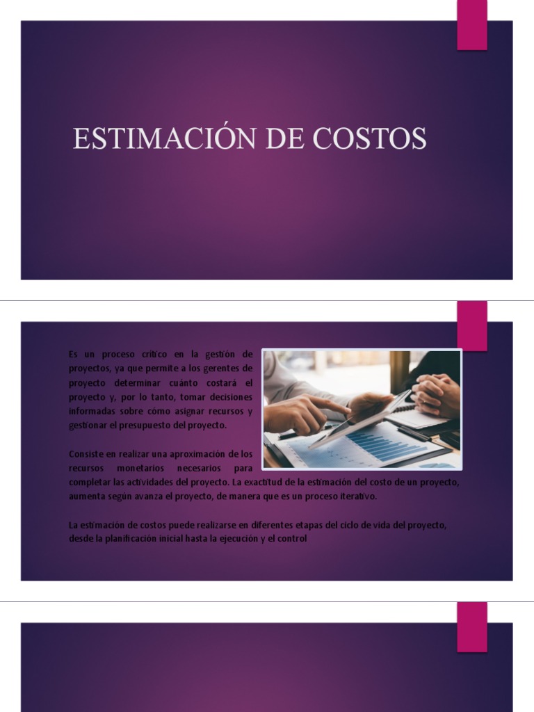 Estimación de Costos en Proyectos de Software | PDF | Modelo cliente-servidor | Software