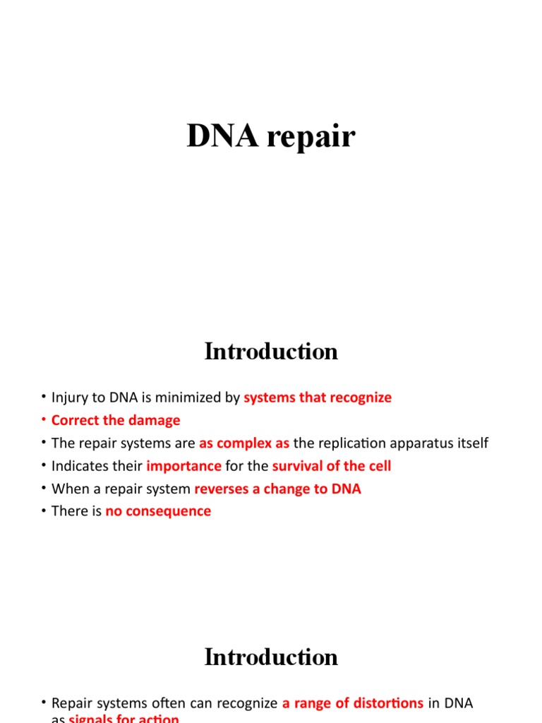 DNA Repair | PDF | Dna Repair | Dna Replication