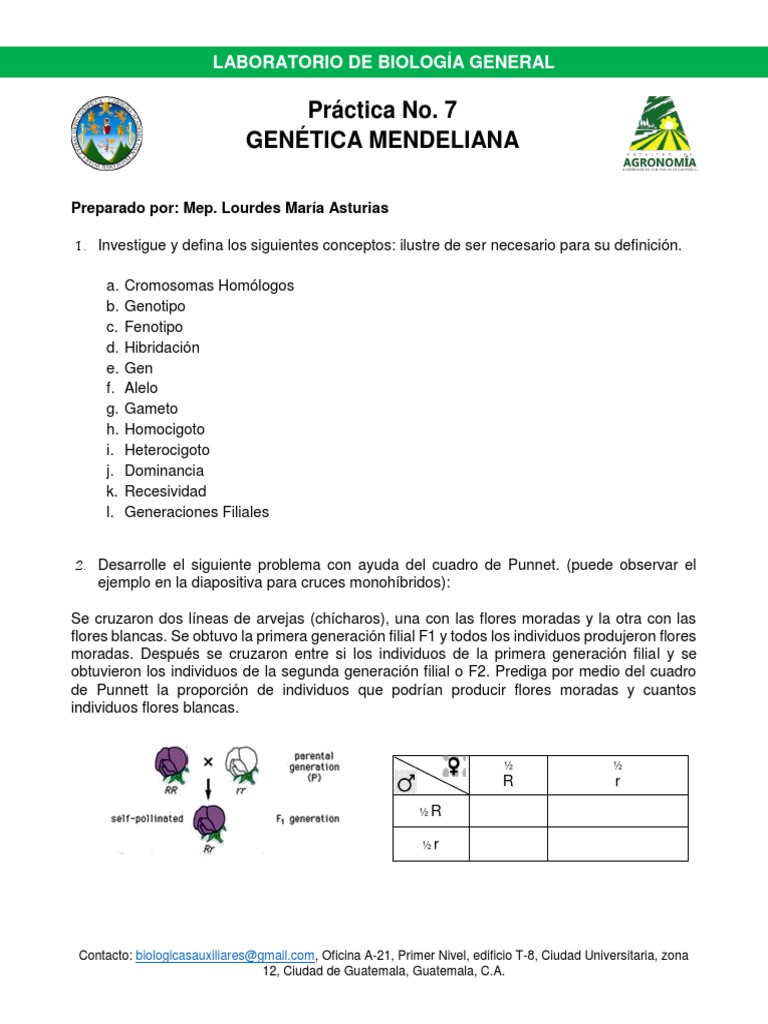 Práctica No. 7. Genética Mendeliana 2021 | PDF | Dominancia (Genética ...