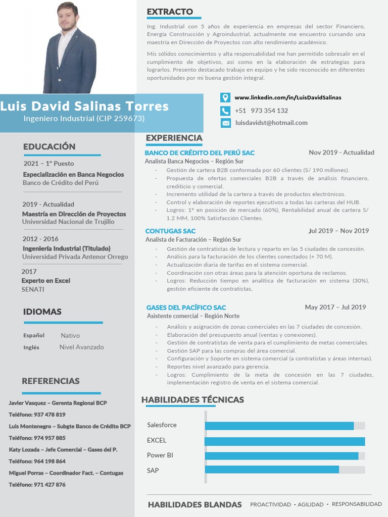 CV Luis David Salinas Torres PDF | PDF | Perú | Business