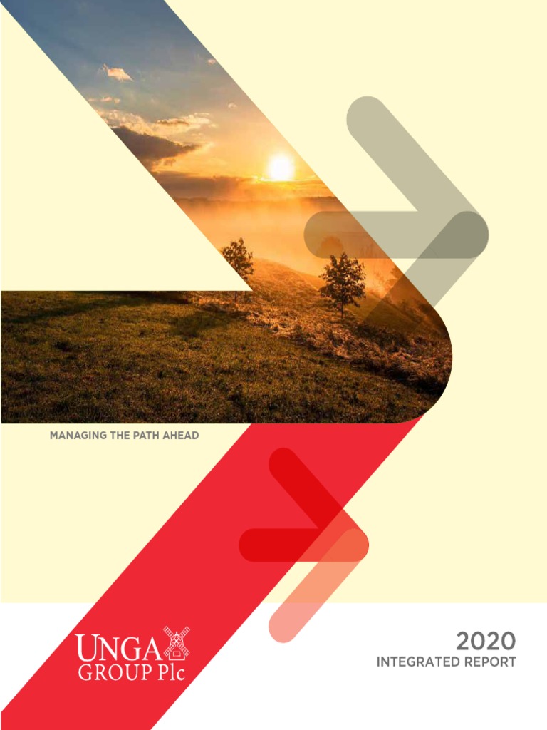 2020 Integrated Report Final | PDF | Governance | Financial Audit